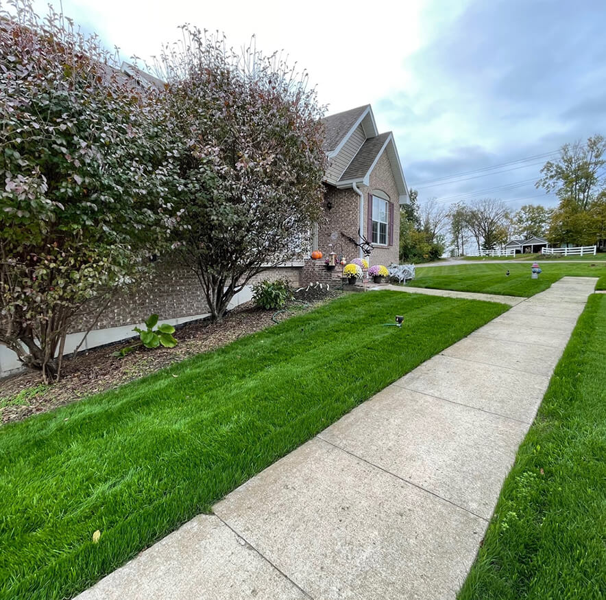 Jonathan Green l Quality Grass Seed & Lawn Care Products