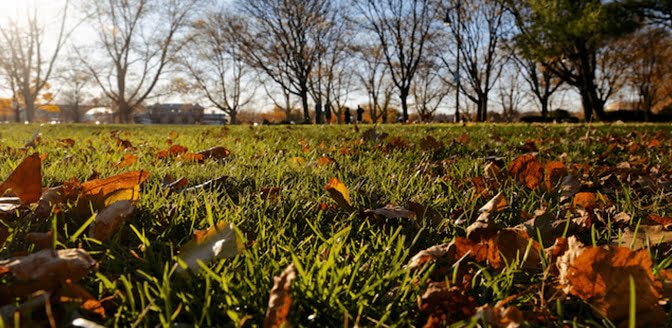 Can I Seed My Lawn in October? | Jonathan Green