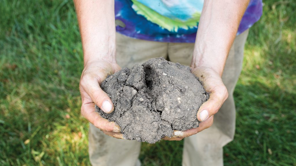 How to Test and Treat Your Lawn for Soil Compaction | Jonathan Green