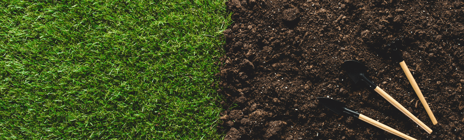 How to Improve Soil Quality for Healthy Lawns? | Jonathan Green
