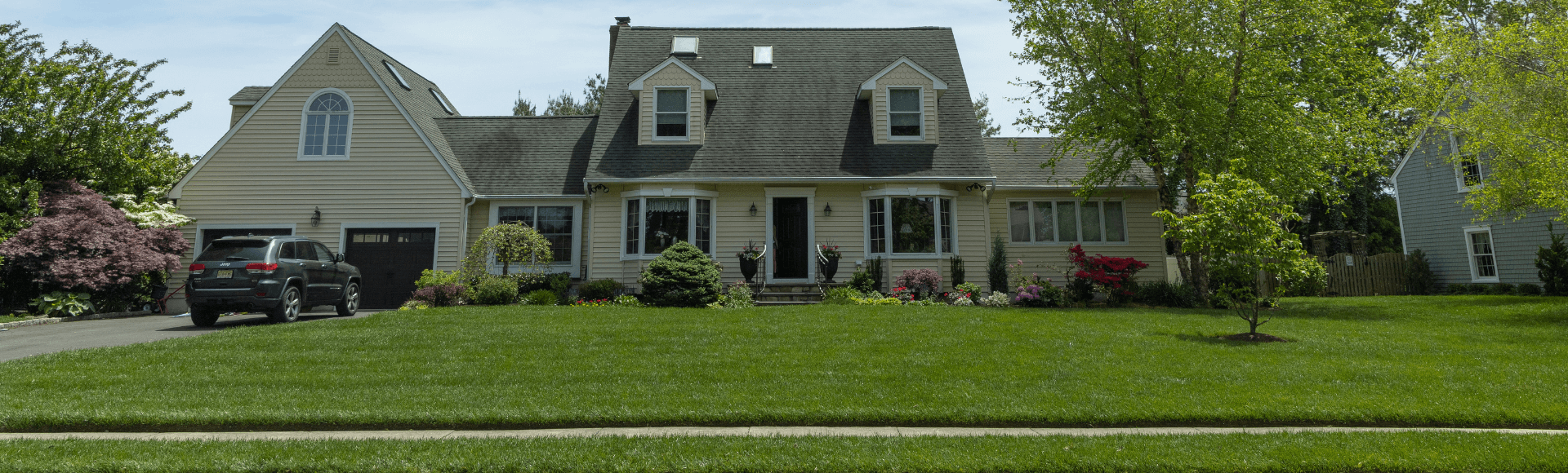 Reseeding Lawns: How To Reseed Grass | Jonathan Green