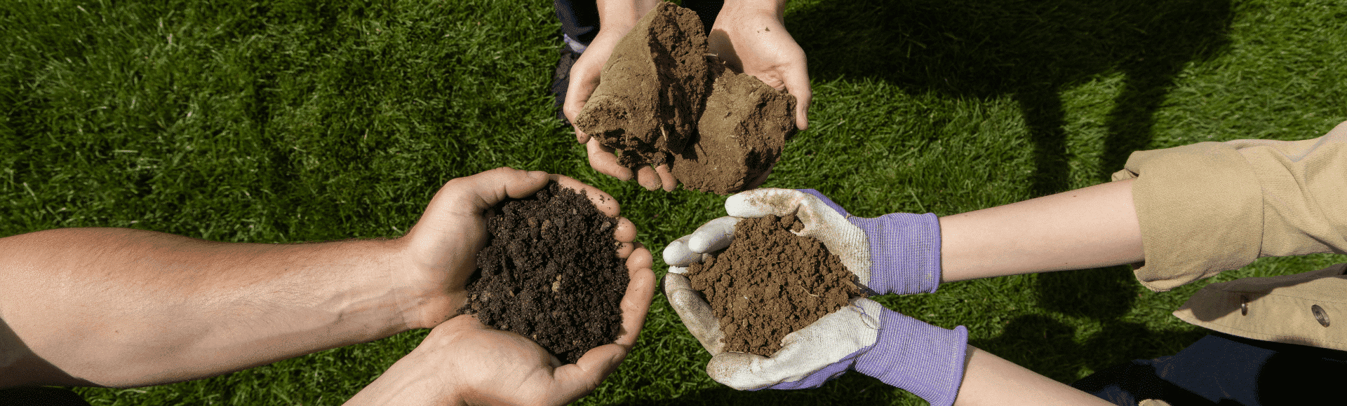Understanding Soil Health: The Foundation of a Beautiful Lawn ...