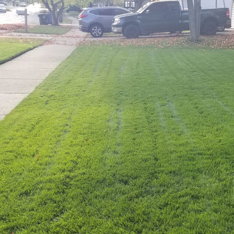 Top Dress Seedling Cover & Growth Accelerator - Grass Seed Mulch