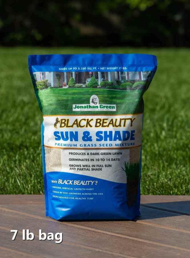Black Beauty® Sun & Shade Grass Seed | Jonathan Green