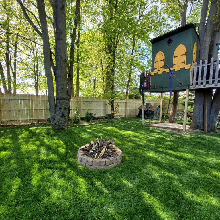 Black Beauty® Shady Nooks Grass Seed l Jonathan Green