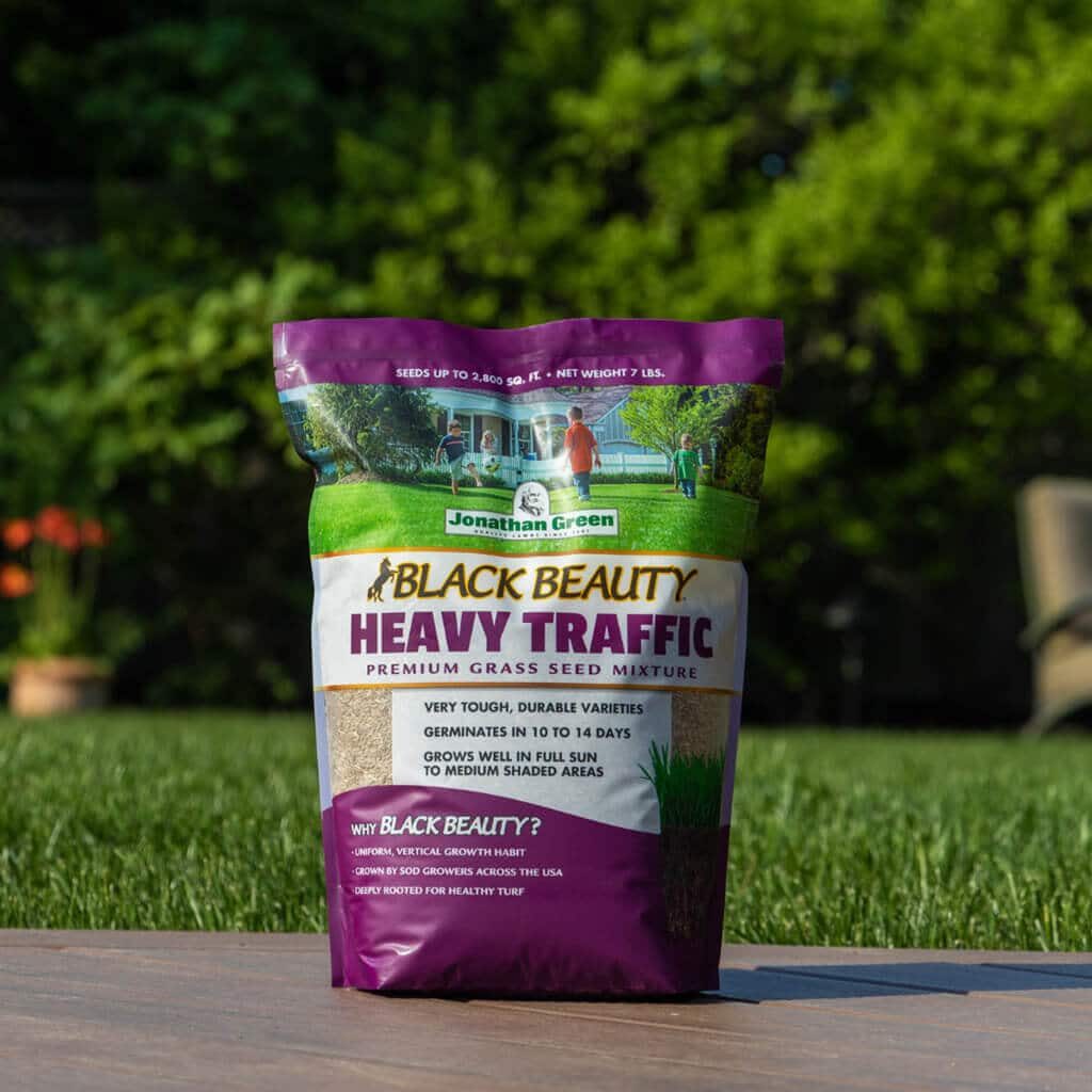 High Traffic Grass Seed - Heavy Traffic Grass | Jonathan Green