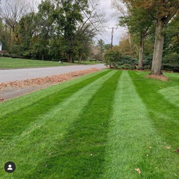 Lawn Starter Kit l Jonathan Green