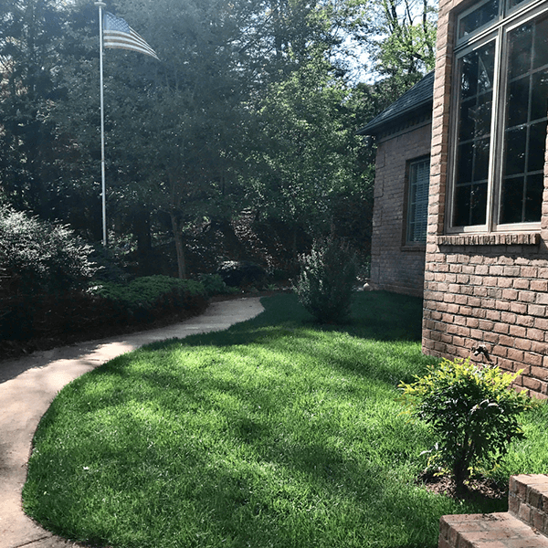 Small Lawn Starter Kit l Jonathan Green