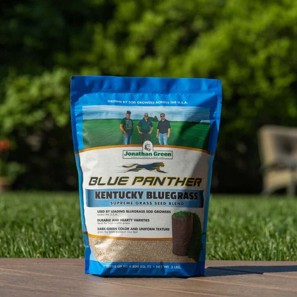 Blue Panther® Kentucky Bluegrass Grass Seed | Jonathan Green