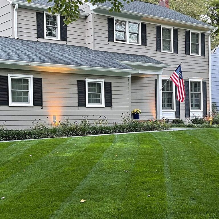 Black Beauty® Fall Magic Grass Seed | Jonathan Green