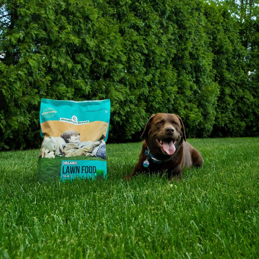 Organic Lawn Food & Fertilizer | Jonathan Green