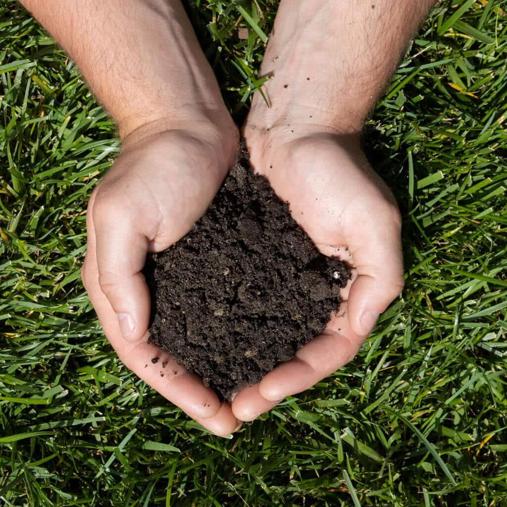 Mag-I-Cal® for Lawns in Acidic Soil | Jonathan Green