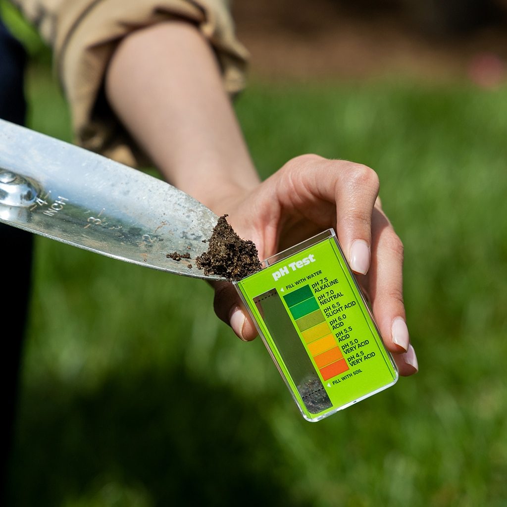 Free Lawn Care Guide l Jonathan Green