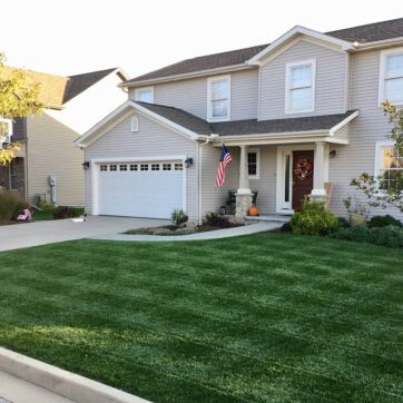 Blue Panther® Kentucky Bluegrass Grass Seed | Jonathan Green
