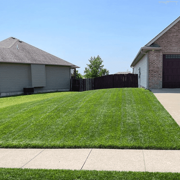 Natural Lawn Care Bundle l Jonathan Green