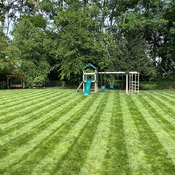 Natural Lawn Care Bundle l Jonathan Green