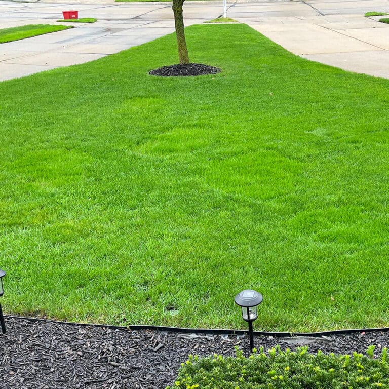 Mag-I-Cal® Plus for Lawns in Alkaline & Hard Soil l Jonathan Green