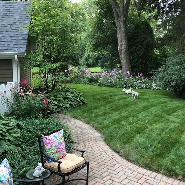 Grass Seed & Fertilizer Bundle l Jonathan Green